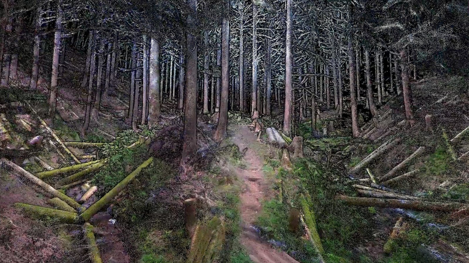 Creating And Using 3D Point Clouds In Forestry Management