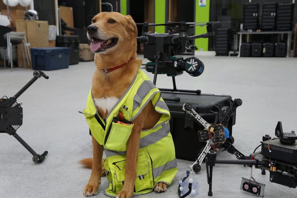 Meet Kody, Exyn's Chief Dog Officer