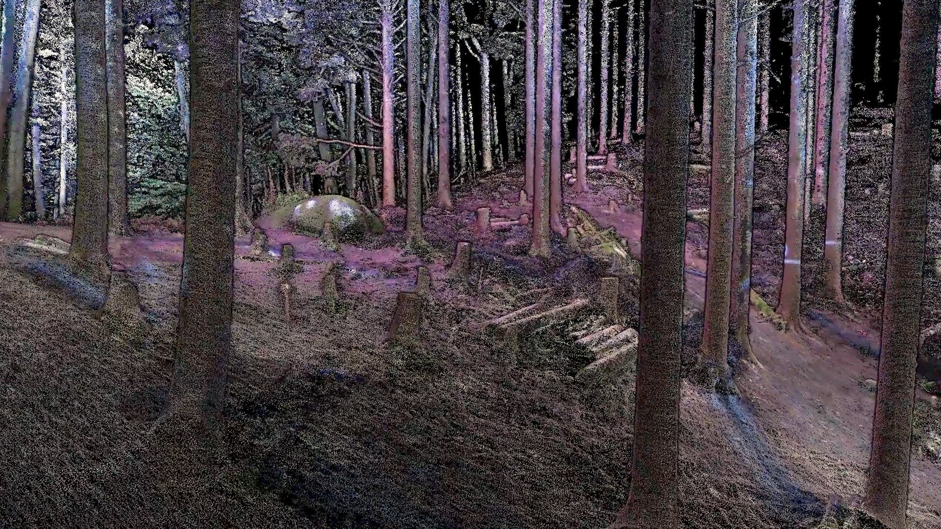 Creating And Using 3D Point Clouds In Forestry Management
