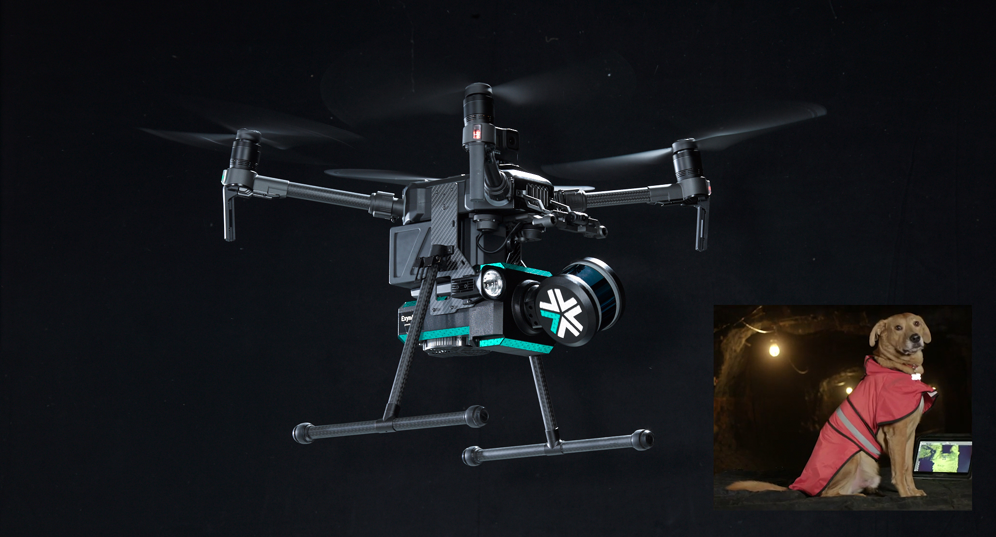 Kody the Dog Selected As First Animal-Drone Operator After Successful ...