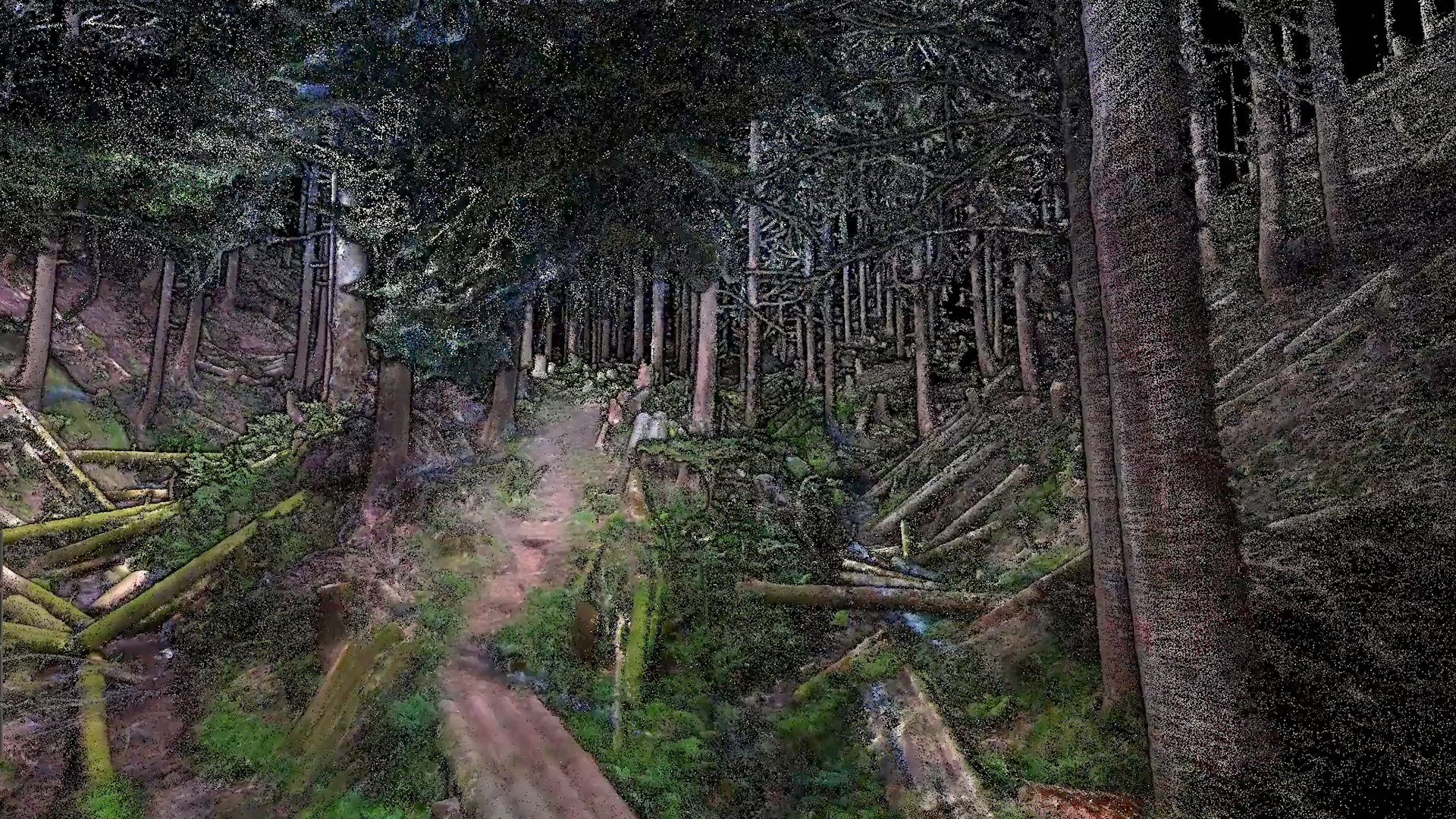 Creating And Using 3D Point Clouds In Forestry Management